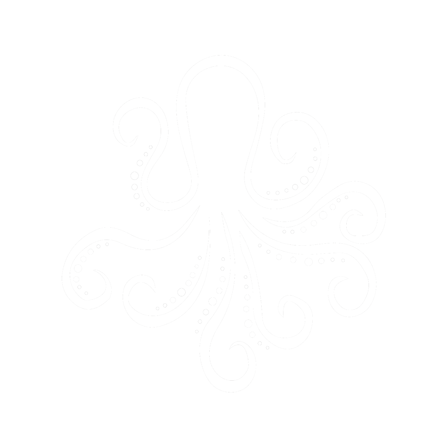 Home - Juggling Octopus