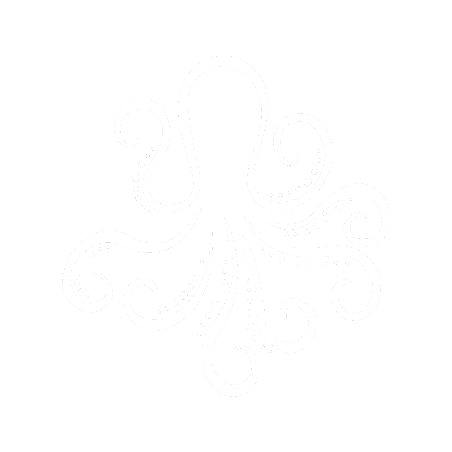 Home - Juggling Octopus